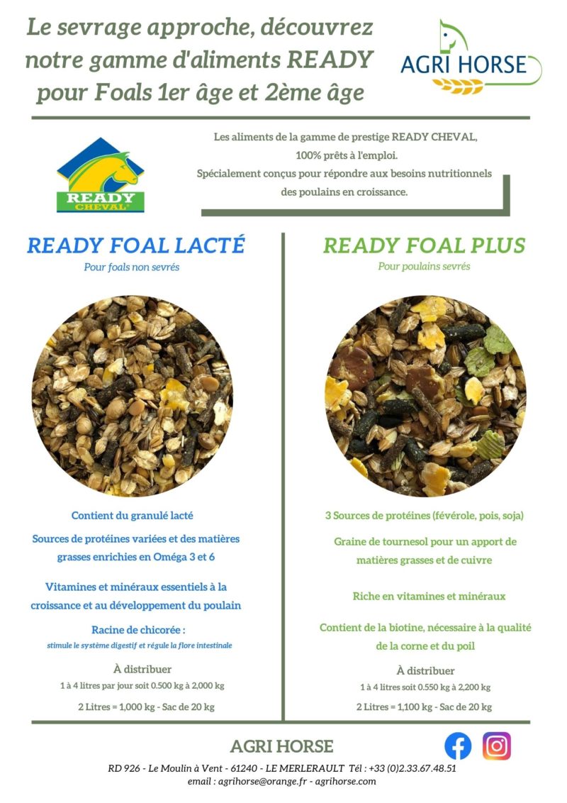 Catalogue & Flyers | AGRI HORSE DH | ALIMETATION CHEVAUX