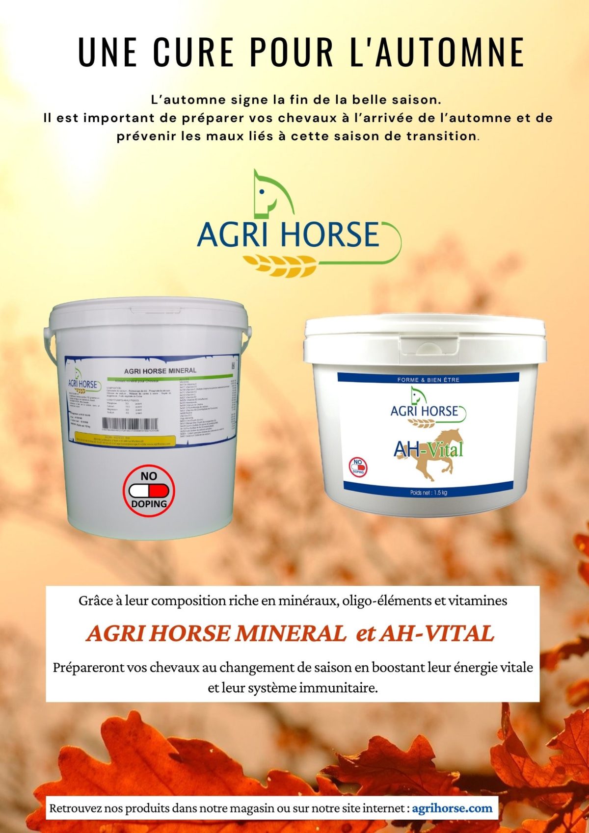 Catalogue & Flyers | AGRI HORSE DH | ALIMETATION CHEVAUX