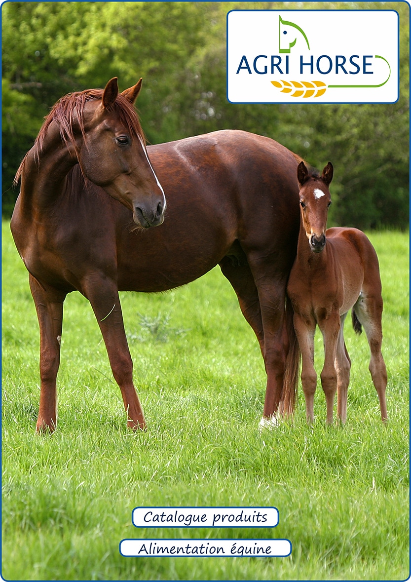 Catalogue & Flyers | AGRI HORSE DH | ALIMETATION CHEVAUX